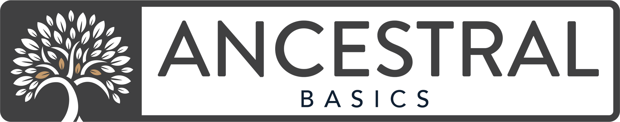 Products – Ancestral Basics